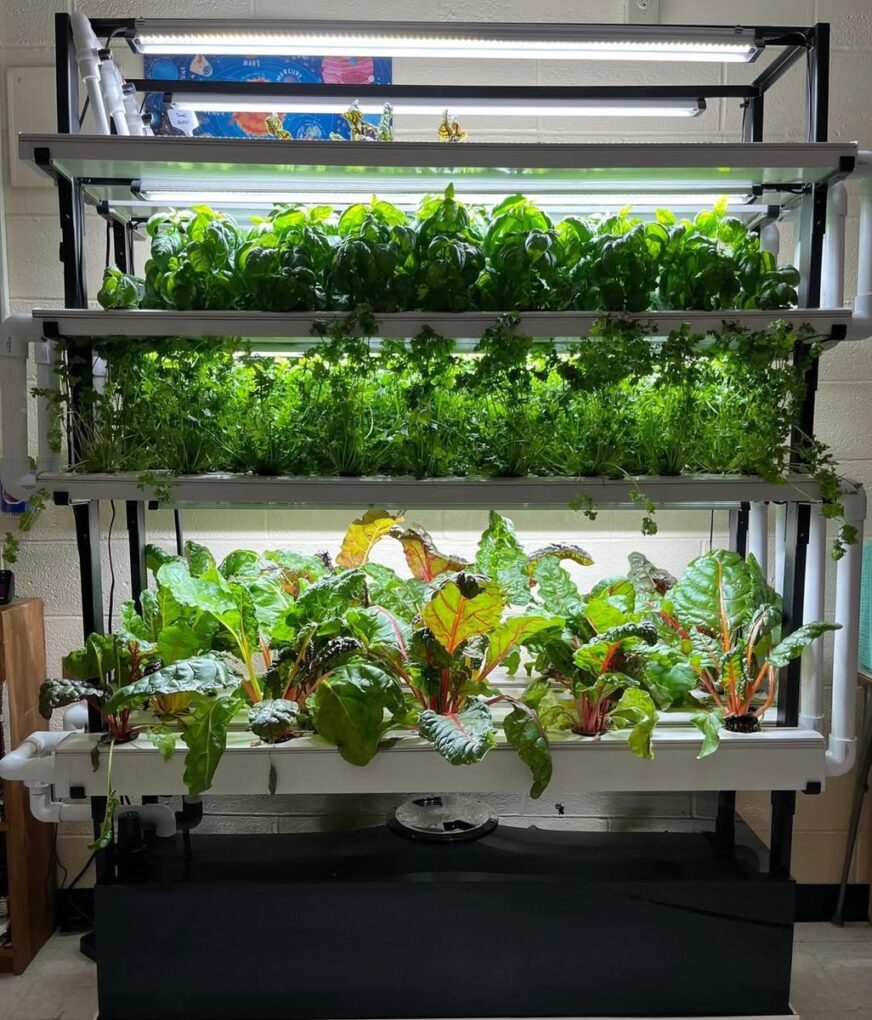 19 Kitchen Garden Ideas So Brilliant You'll Wonder How You Ever Lived ...