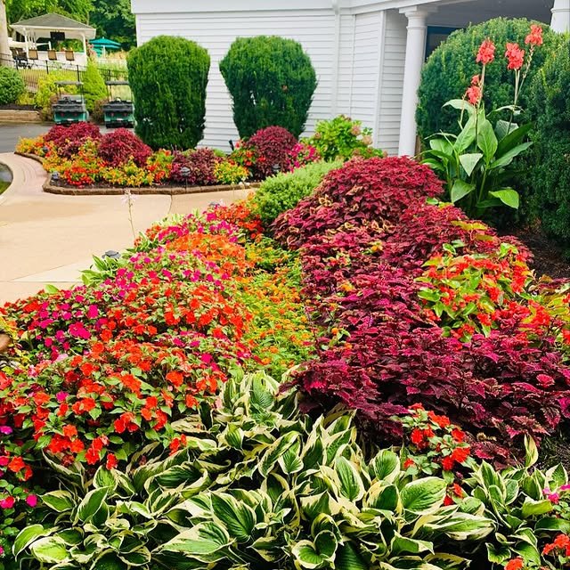 20 Autumn Flower Bed Ideas That Bring Seasonal Charm to Your Garden