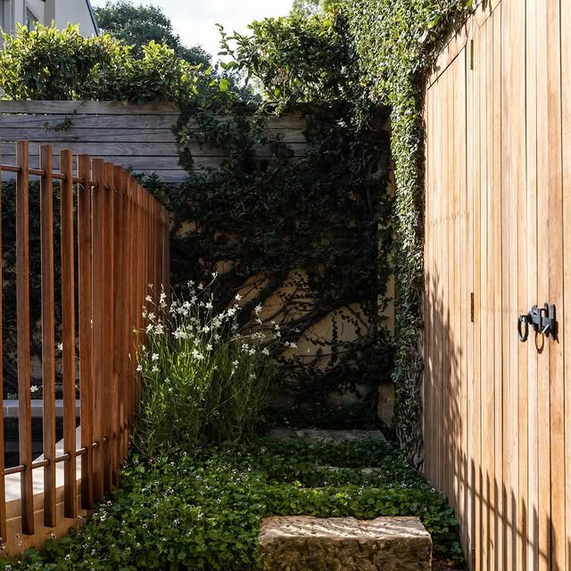 21 Back Garden Fence Inspirations for a Fresh Outdoor Look