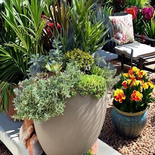 20 Easy Garden Ideas That Practically Care for Themselves: Set It and ...