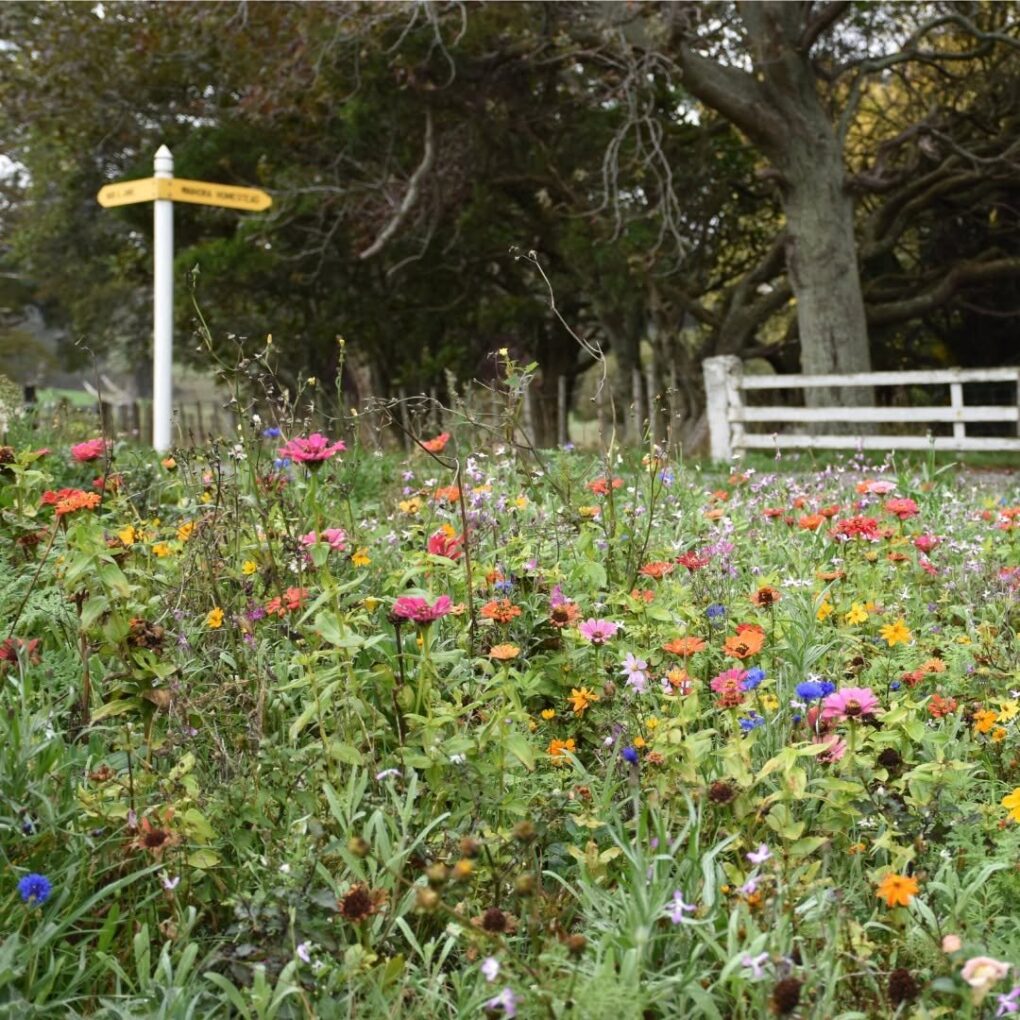 20 Easy Garden Ideas That Practically Care for Themselves: Set It and ...
