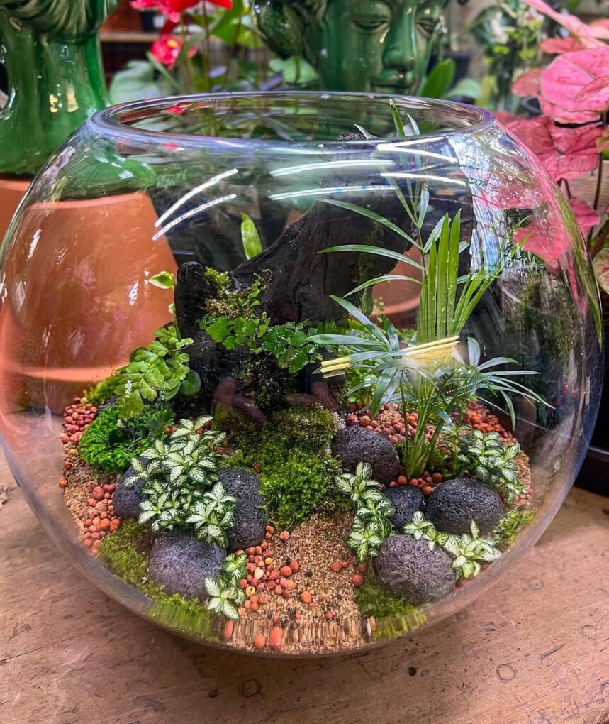 22 Mini Garden Ideas That Transform Any Corner: Small but Mighty