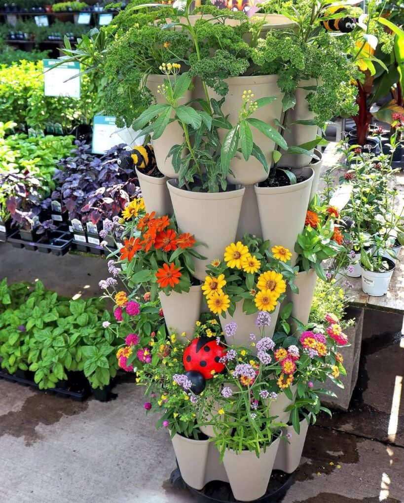 22 Mini Garden Ideas That Transform Any Corner: Small but Mighty