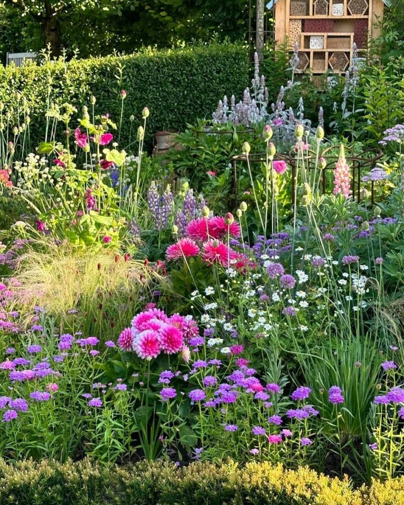 20 Easy Garden Ideas That Practically Care for Themselves: Set It and ...
