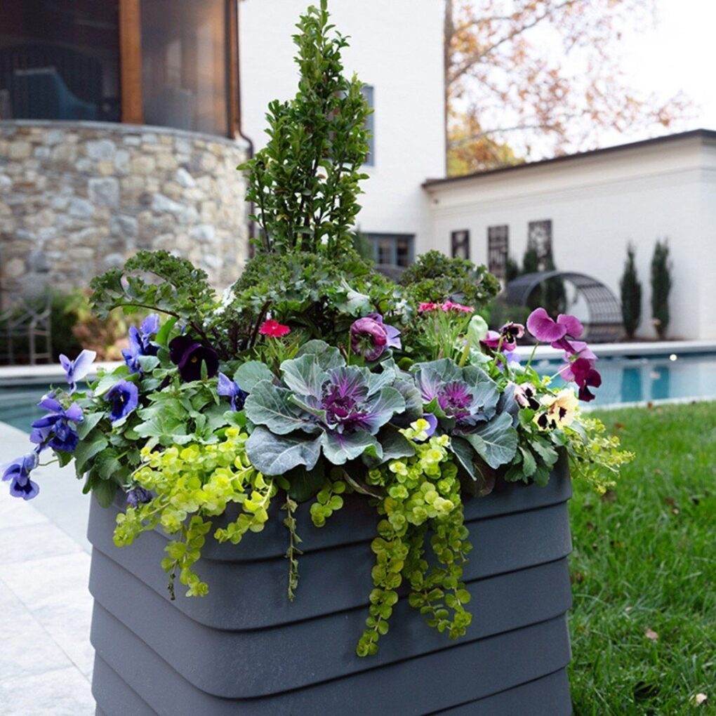 22 Mini Garden Ideas That Transform Any Corner: Small but Mighty