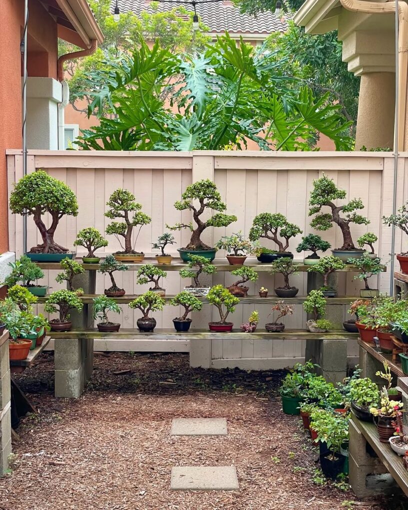 22 Mini Garden Ideas That Transform Any Corner: Small but Mighty