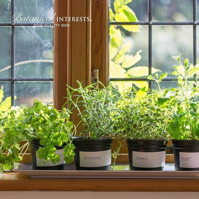 22 Mini Garden Ideas That Transform Any Corner: Small but Mighty