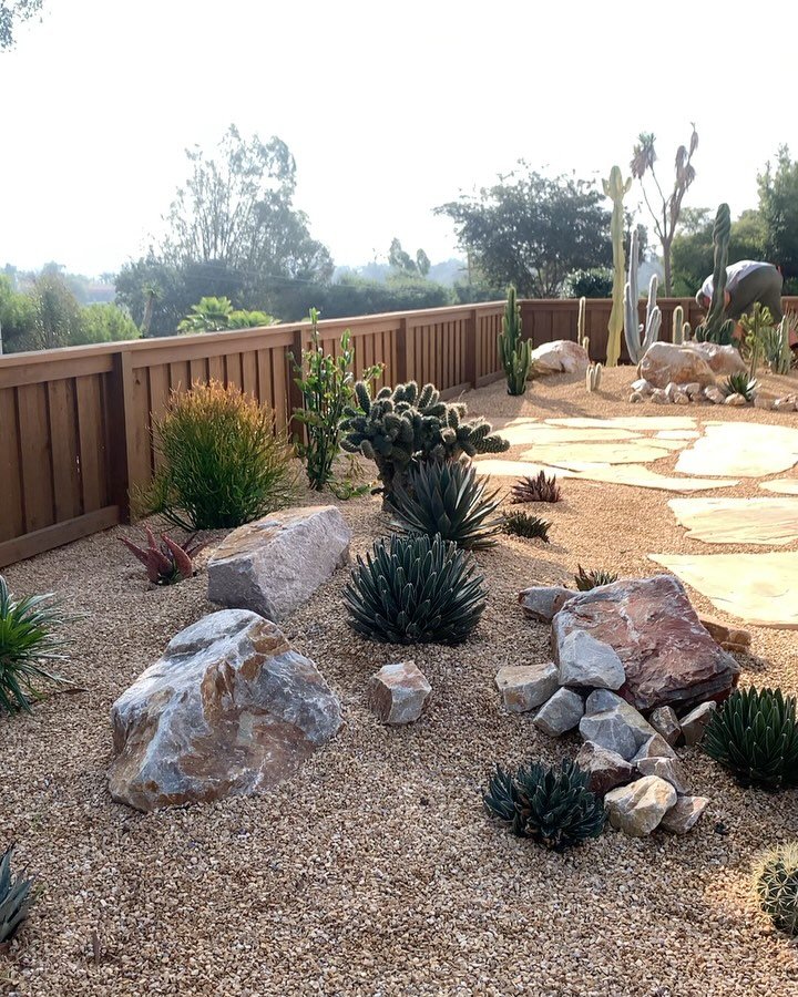 21 Rock Garden Ideas That Bring Natural Beauty to Your Outdoor Space